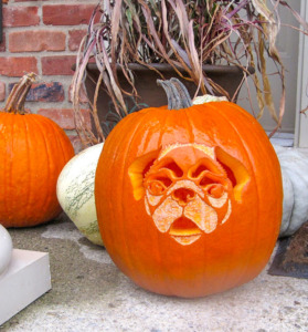 Dog Pumpkin Carving Stencils (+ Hundreds of Other Free Pumpkin Carving ...